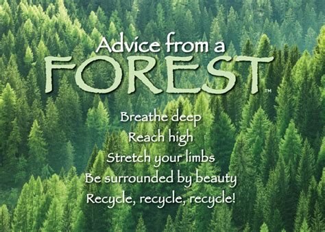 Magnet Advice From A Forest Weeds