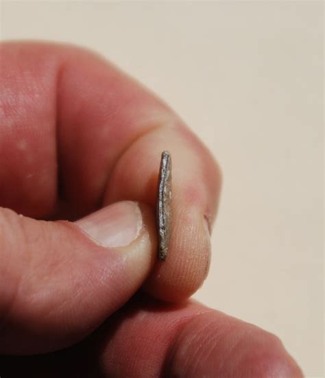 Side Profile View Of An Ant Nose Money Yi Bi Qian 蚁鼻钱 Or Ghost Face