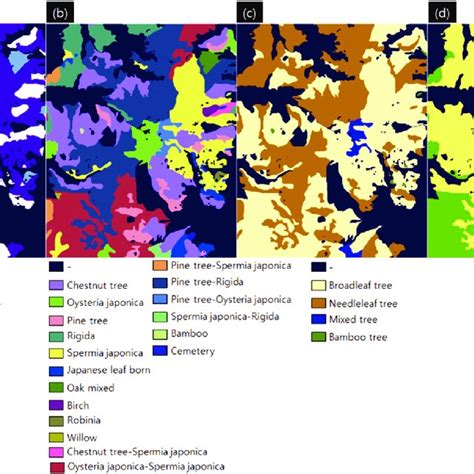 Forest Classification Maps Of The Study Area Produced From The Field