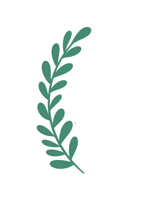 Leaf Line Art 18128821 Png