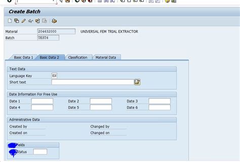 Solved Control Custom Field In Batch Using Table V T SAP Community