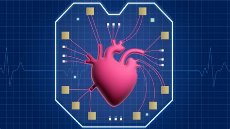 Scientists Developing New Heart On A Chip Live Science