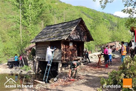 Morile De Apă De La Rudăria Asociația Acasă în Banat
