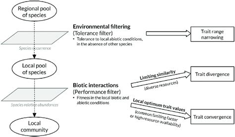 The Two Step Hierarchical Model Of Community Assembly And The Effects