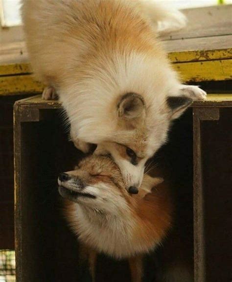 10000 Best Zombie Images On Pholder Top Character Designs Yuri Manga