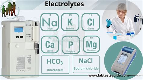 Electrolytes Lab Tests Guide