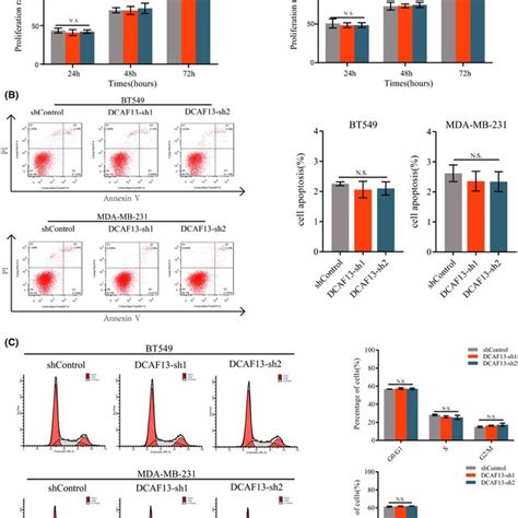 Dcaf13 Depletion Has No Significant Impact On Breast Cancer Cell Download Scientific Diagram