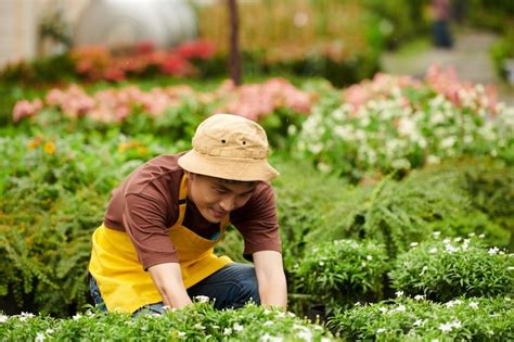 Premium Photo Nursery Worker Planting Flowers