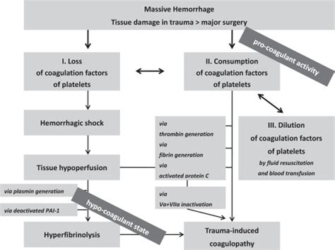 Massive Bleeding And Massive Transfusion Pmc