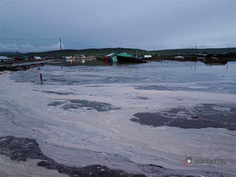 Үерлээд буй бүх голын мэдээлэл