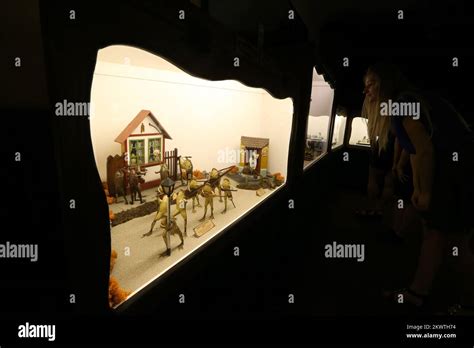 18072015 Split Croatia Froggyland A World Famous Stuffed Frog