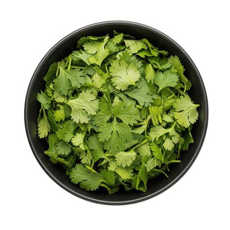 Chopped Coriander Leaves Png