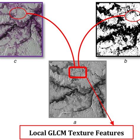 Local Texture Extraction Approach A 1024 × 1024 Pal‐sar Image 2007 Hh Download Scientific
