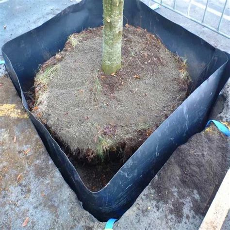 Polypropylene Polythene Construction Sites Root Barrier Hdpe 15 At