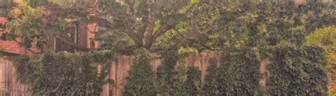 Heat Facticitycafacticityca