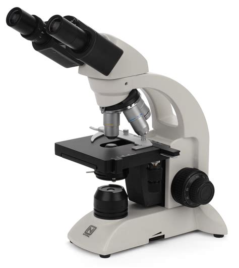 microscope labeled diagram quizlet