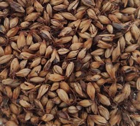 3 Reasons Why Malt Is Important To Brewing Continuing And
