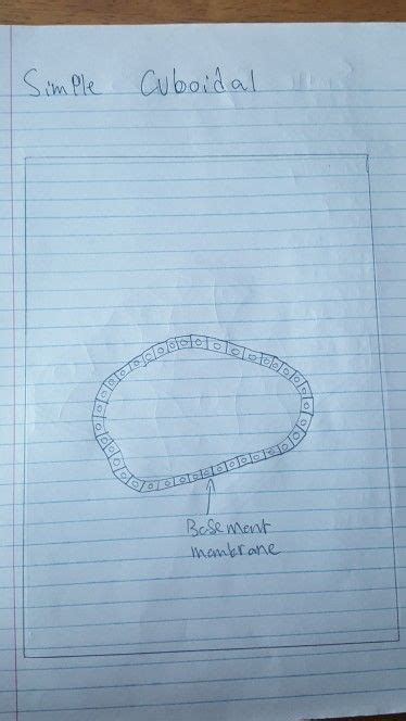 Simple Cuboidal Drawing