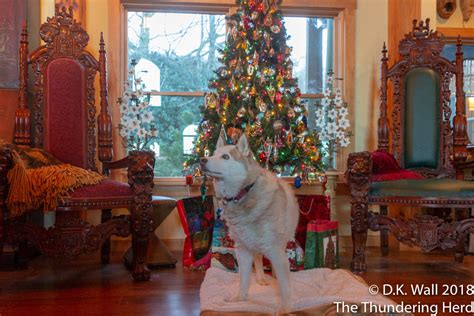 Siberian Santa Claus Comes To Town The Thundering Herd