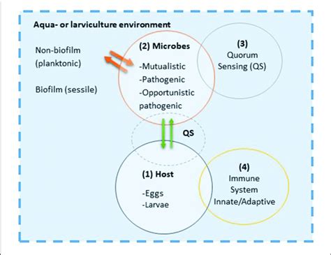 Host Microbe Interaction Concept Model In The Aquaculture