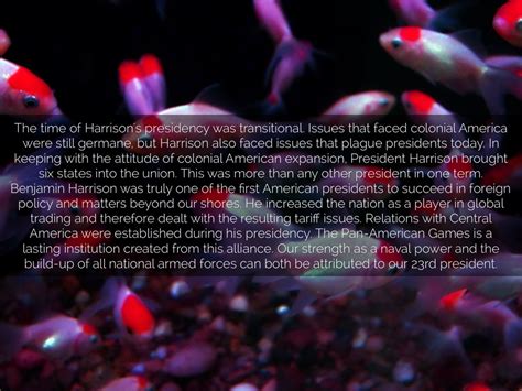 Benjamin Harrison By Brandice Hernandez