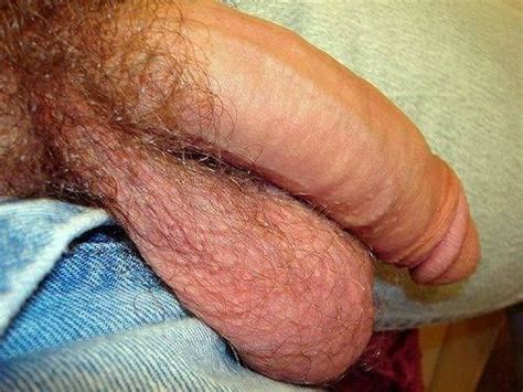 Foto Hairy Cock Balls