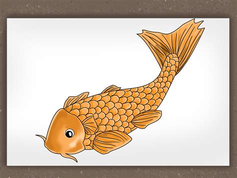 Cómo Dibujar Un Pez Koi 7 Pasos Con Imágenes Wikihow