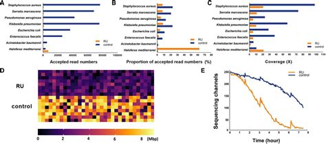 Genome Enrichment Of Rare And Unknown Species From Complicated Microbiomes By Nanopore Selective