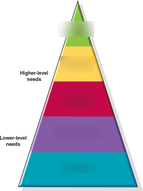 Unit 1 Ccm Nursing Program Diagram Quizlet