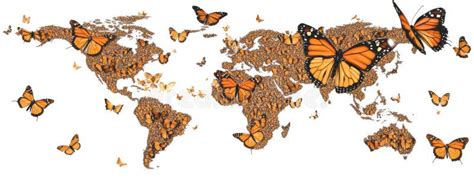 Migration Routes Of Monarch Butterflies Shown On World Map Stock