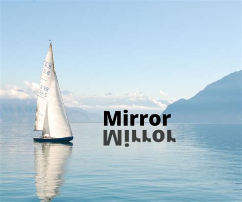 canva mirror effect how to get mirror effect on canva [images and texts]