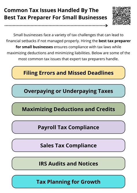 Ppt Common Tax Issues Handled By The Best Tax Preparer For Small