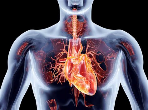 Sessiz Düşman Aort Diseksiyonu Ramazan Özdemir