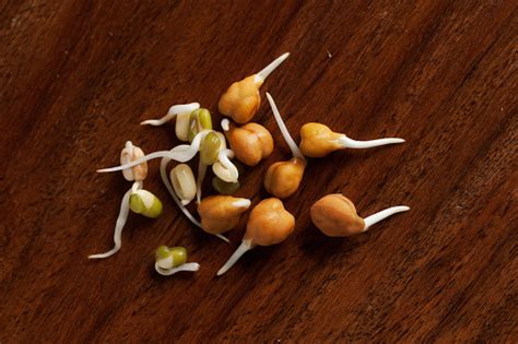 What Is The Nutritional Value Of Moong Sprouts And Is Moong Sprouts