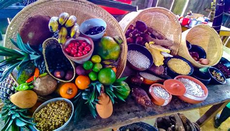Alimentando La Selva Y Sus Pueblos Museo De Ecología Humana Museo