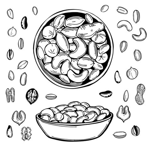 Nut Clip Art Black And White