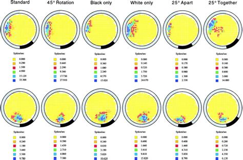 example color coded firing rate maps in each experimental condition for