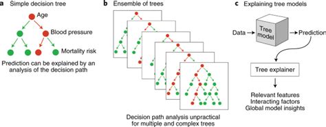 The Art And Science Of Ntrees In Machine Learning A Comprehensive