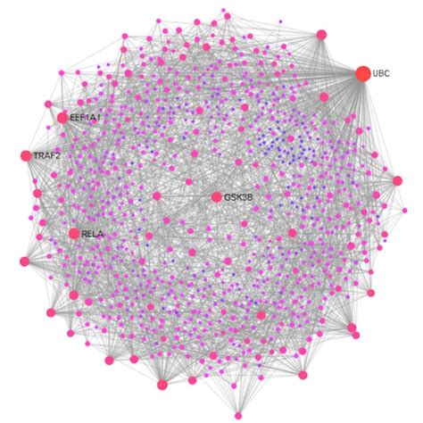 Blantyre Coma Scale 6 Download Table