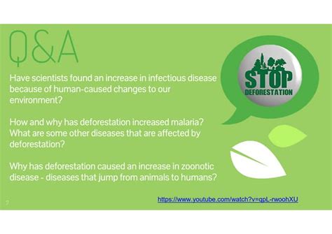 Deforestation Questions To Take Into Consideration Pdf