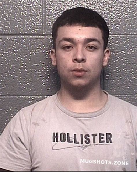 Hernandez Brian Uriel 06 11 2024 Danville Mugshots Zone