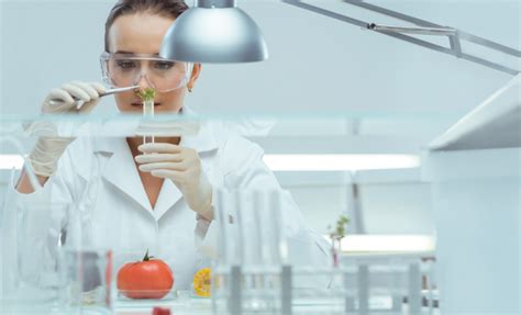 Texture Analysis Mecmesin Texture Analysis