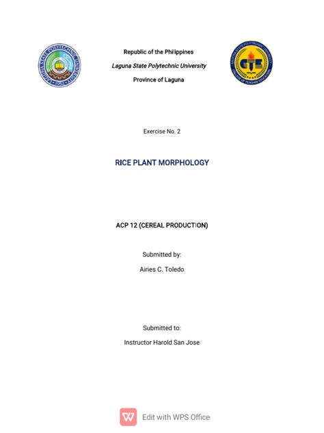 Rice Morphology Pdf Rice International Rice Research Institute