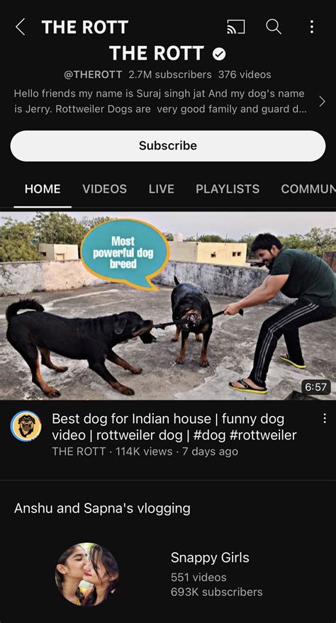 The Rott Snappy Girls Rinstacelebsgossip