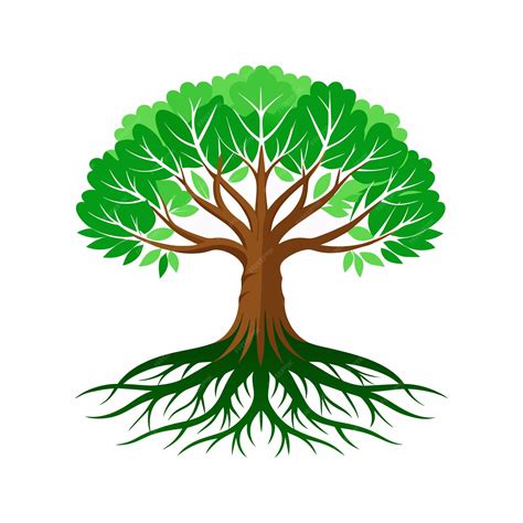 Premium Vector Tree With Roots Vector Illustration