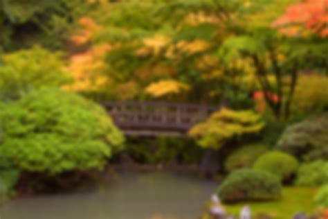Portland Japanese Garden Fall Portland Japanese Gardens With Bridge