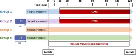 Experimental Timetable In Each Group Group 1 Represents Healthy Rats