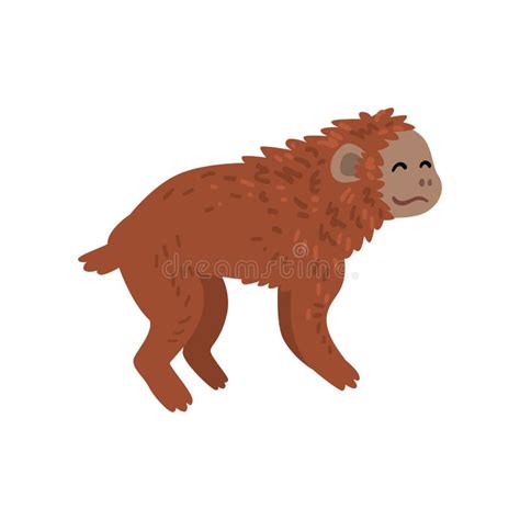 Evolutionary Stock Illustrations 1103 Evolutionary Stock