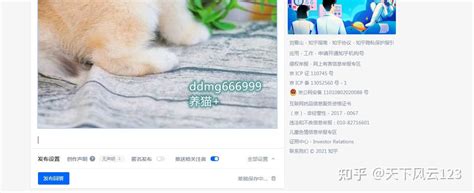 求问这是只狸花还是美短啊？ 知乎