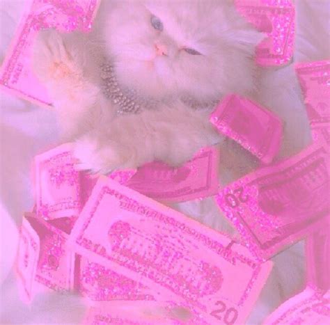 Money Cat Wallpapers Wallpaper Cave